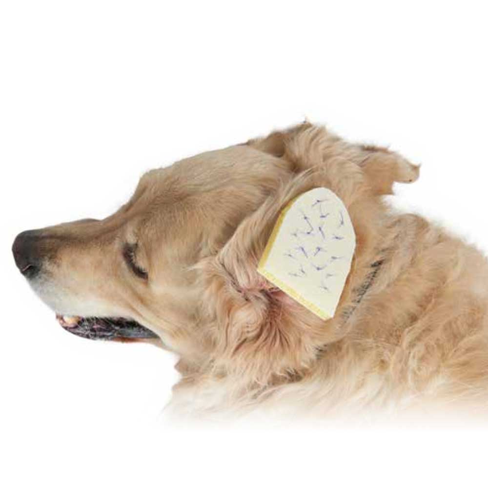 Hochwertige Verbandsstoffe für die Tiermedizin